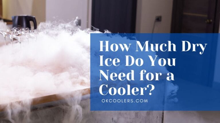 How Much Dry Ice Do You Need For A Cooler? 5 Helpful Tips