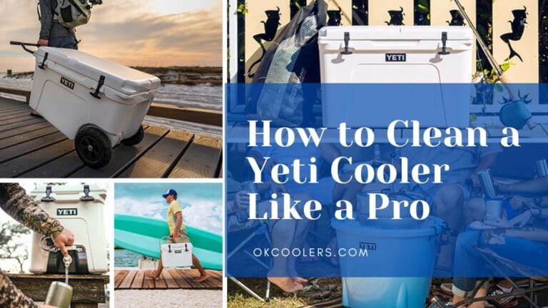 How To Clean A Yeti Cooler Like A Pro - 7 Easy Steps