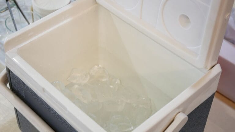 How To Keep Ice Cream Frozen In A Cooler: 6 Cool Tips