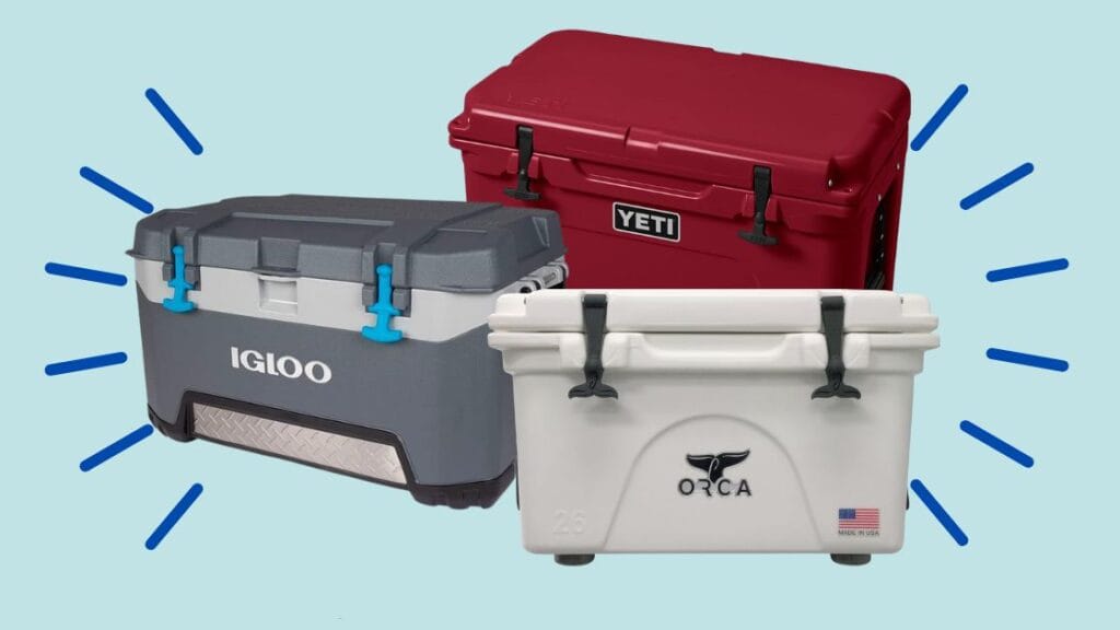 How To Choose The Best Cooler For Fishing In 2024